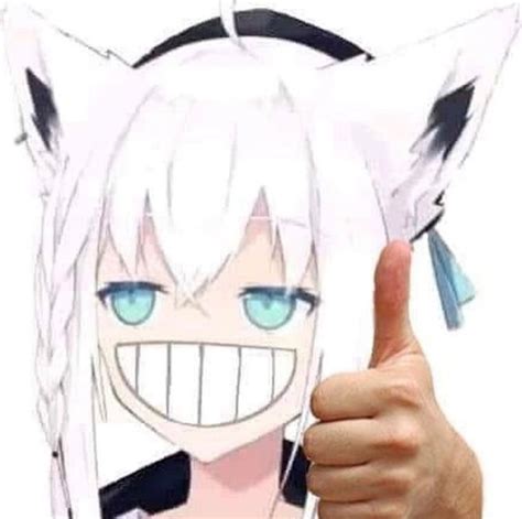 Pin By Grand Archive On Memes Waifu Meme Cute Memes Anime Expressions