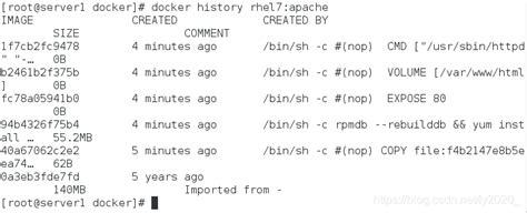 docker镜像的分层结构介绍以及镜像的创建（docker commit与dockerfile） docker history镜像分层结构