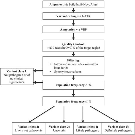 Variant Analysis Including Filtering And Classification Of Variants