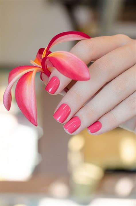 Mão Feminina Com Design De Unhas Rosa Segurando Flor Rosa Foto