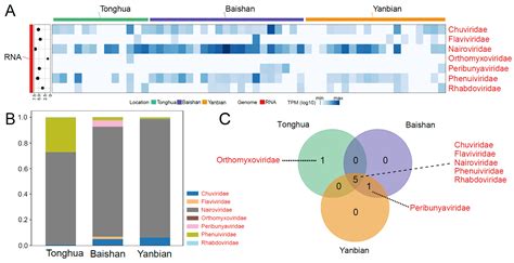 Metatranscriptomics Reveals The Rna Virome Of Ixodes Persulcatus In The China North Korea Border