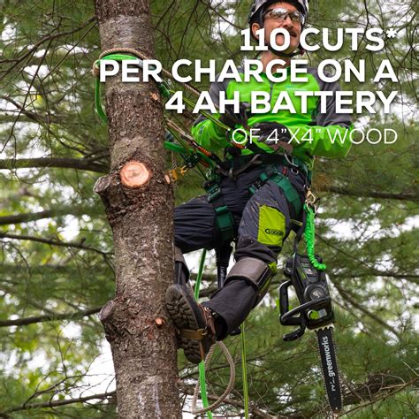 48V 12" Top-Handle Chainsaw with Battery and Charger | 2013702 ...