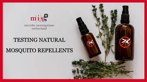 Testing Natural Mosquito Repellents