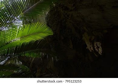 Lan Sak Images Stock Photos And Vectors Shutterstock