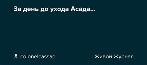 За день до ухода Асада Colonelcassad — Livejournal