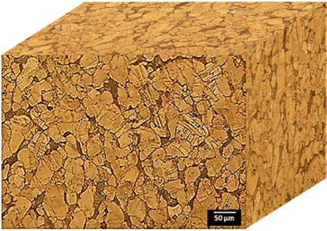 Microstructure After The Second Pass Of Ecap Process In Route C At 350