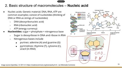 Teas 7 Macromolecules Part 2 Structure Of Macromolecules Youtube