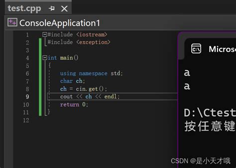 c 的get和getline方法 csdn博客