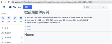 微前端应用功能开发指引 Dm Hub Api 文档