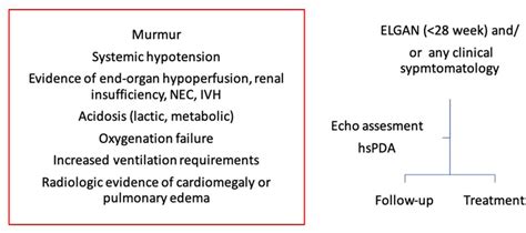 A Simple Algorithm To Clinical Decision Making In Extremely Low Download Scientific Diagram