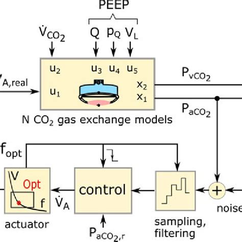 Components Of In Silico Testing As Described In Overview Download