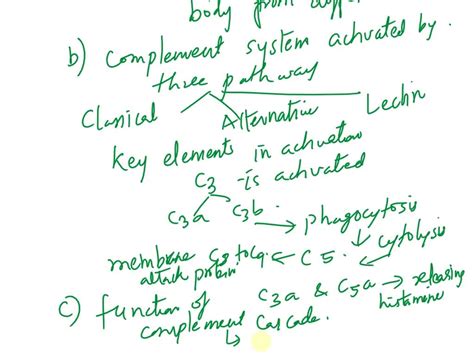 SOLVED The Importance Of The Complement System As A Set Of Host Defense Machinery Is