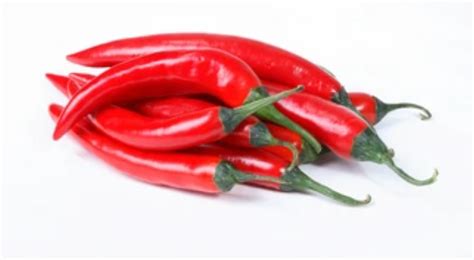 new chilli object detection dataset by hassan