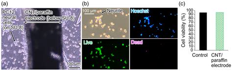 Carbon Nanotube Based Printed All Organic Microelectrode Arrays For