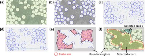 Algorithm Overview A Input Microscope Image B Circle Detection