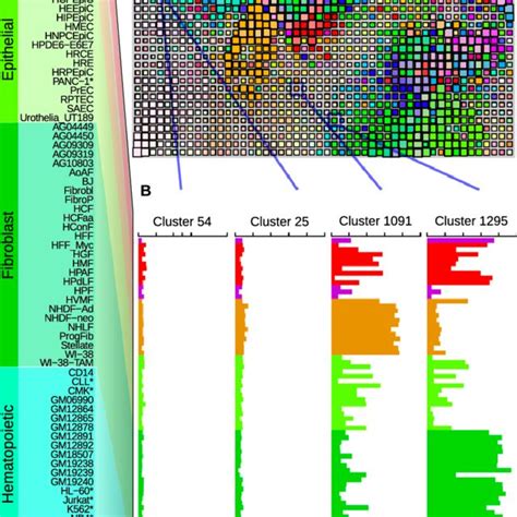 Som Clustering Of Dhs Profiles A A 50 3 50 Self Organizing Map