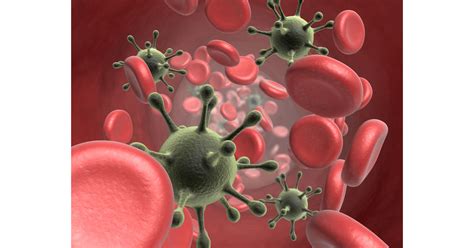 Stainless Steel The Passive Layer