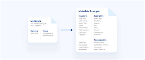 What Is Metadata Why Is It Important