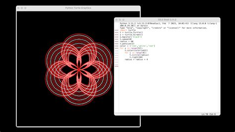 How To Create A Flower With Python