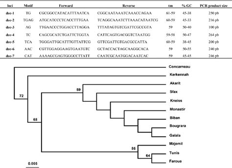 phenogram generated by upgma cluster analysis based on neiÕs 1972