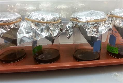 Hacklet 120 Coffee Hacks Hackaday Hacklet 120 Coffee Hacks Hackaday