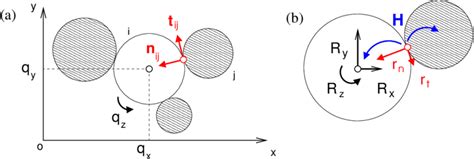 Representation Of A The Global And Local Frames And B The Linear