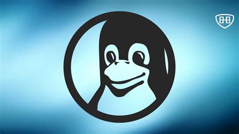 vulnerabilidad de escalamiento en linux kernel cve 2021 26708 blog