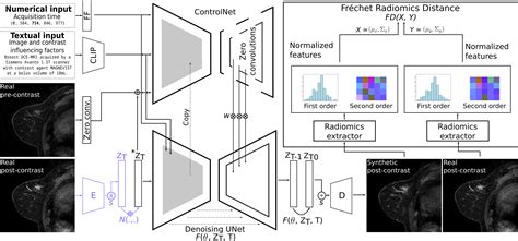 Similarity Aware Syncretic Latent Diffusion Model For Medical Image Translation With