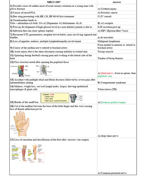 Mrcs 2007 Pdf Thorax Clinical Medicine
