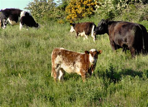 How To Use Cv2 Xphoto Inpaint In Python3 OpenCV Q A Forum