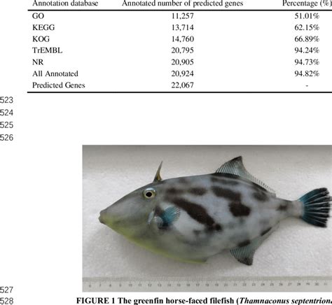 Summary Of Functional Annotations For Predicted Genes 522 Download
