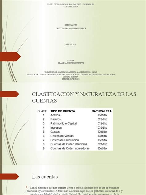 Clasificación Y Naturaleza De Cuentas Contables Pdf