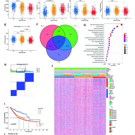 Immune Landscapes Among The Three Distinct Molecular Subtypes And