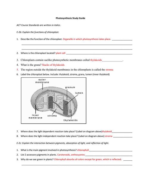 Unlock The Answers Reinforcement Worksheet Answer Key Revealed
