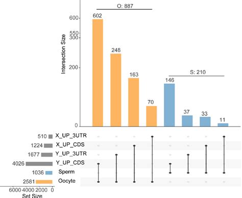 Upset Plot Of Intersections Between Gene Set Targeted By Differentially