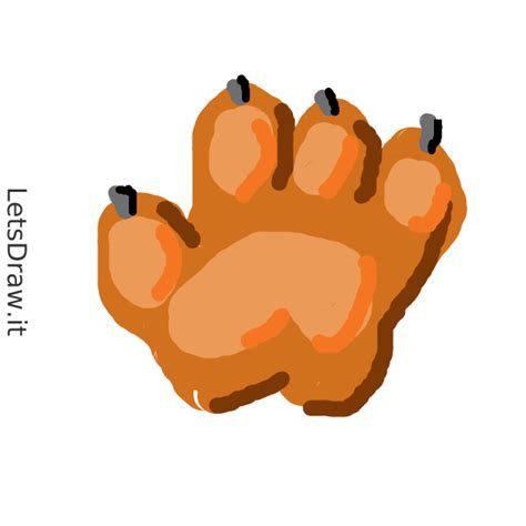How To Draw Paw Print Ub3pqiqz6 Png LetsDrawIt How To Draw Paw Print Ub3pqiqz6 Png LetsDrawIt