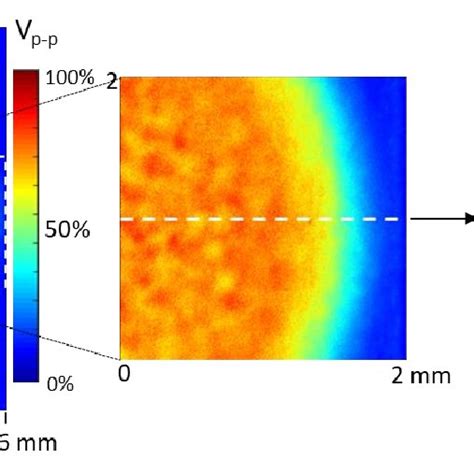Ultrasonic C Scan Images Of Representative Test Specimen Download Scientific Diagram
