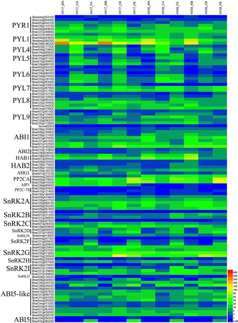 Figure 4 From Comparative Transcriptome Analyses Revealed Conserved And