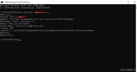 安装 paddlenlp 过程 paddlenlp安装 csdn博客