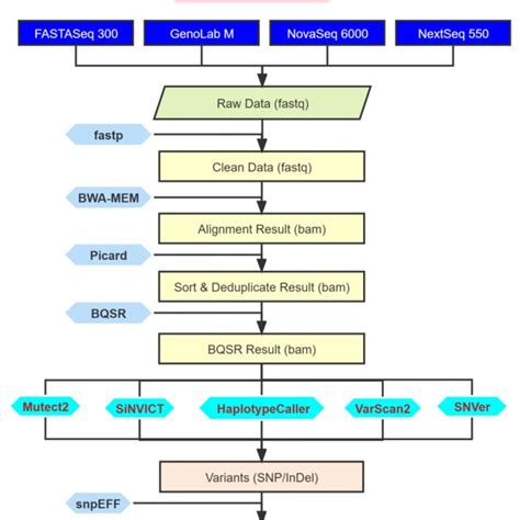 The Owchart Of Variant Calling Across Foursequencing Platforms And Ve Download Scientific