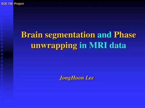 Ppt Brain Segmentation And Phase Unwrapping In Mri Data Powerpoint Presentation Id4117383