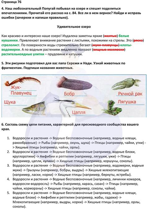 ГДЗ Страница 76 Часть 1 Рабочая тетрадь окружающий мир за 4 класс Плешаков Крючкова 2023 ФГОС