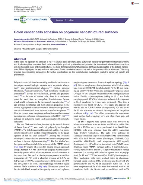 Pdf Colon Cancer Cells Adhesion On Polymeric Nanostructured Surfaces