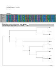 Building Phylogenetic Trees Lab Docx Building Phylogenetic Trees Lab Josh Geer P Required B