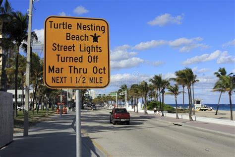 Turtle Nesting Sign Editorial Stock Image Image Of Protection 37617319