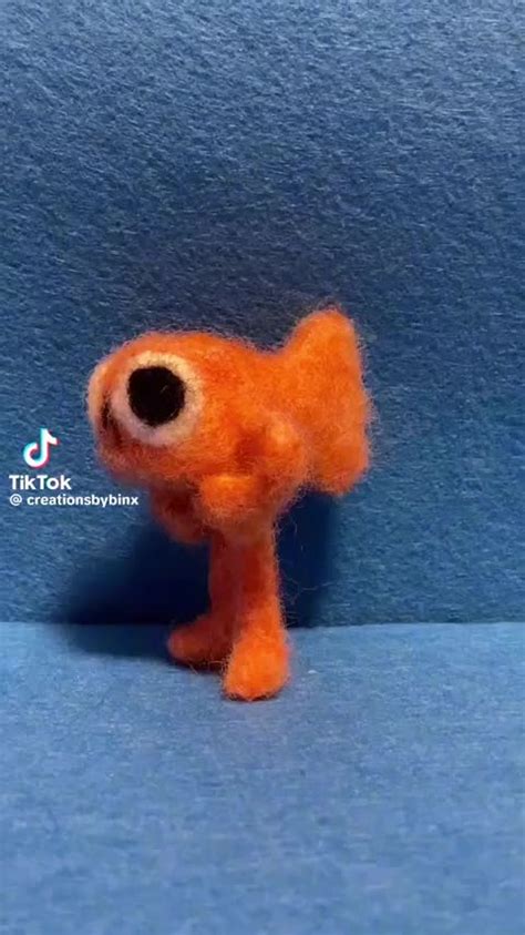 Le Poisson Steve Album On Imgur