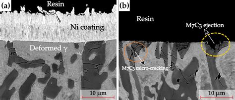 Representative Sem Bse Micrographs Of The Cross Section Of The Worn
