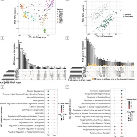differential network analysis provides distinct biological information
