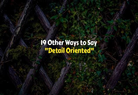 19 Other Ways To Say Detail Oriented 19 Other Ways To Say Detail Oriented