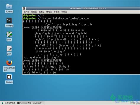 Linux操作9comm Diff Patch 蓝桥云课